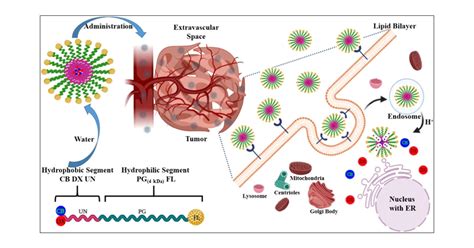 Hetero Trifunctional Malonate Based Nanotheranostic System For Targeted