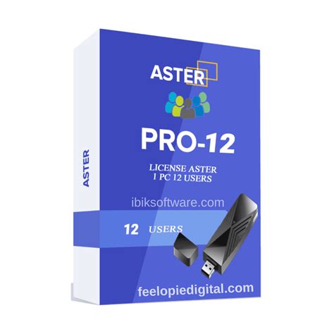 Aster Is A Multiseat Software For Windows Asterprosoft