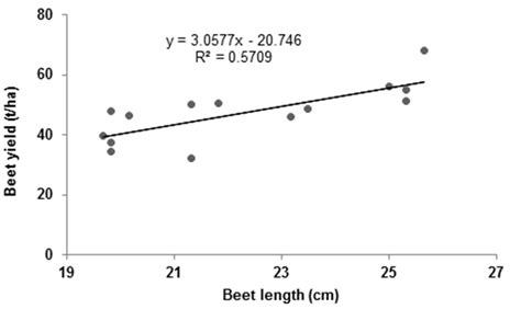 Functional Relationship Between Beet Length And Yield Of Tropical Sugar Download Scientific