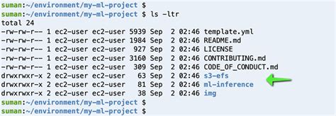 deploy multiple machine learning models for inference on aws lambda and