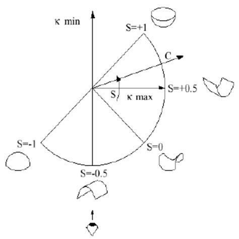 Illustration Of The Surfaces Described By The Shape Index Assuming K Download Scientific