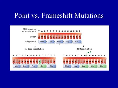 Ppt 11 1 Genes Are Made Of Dna Powerpoint Presentation Free Download