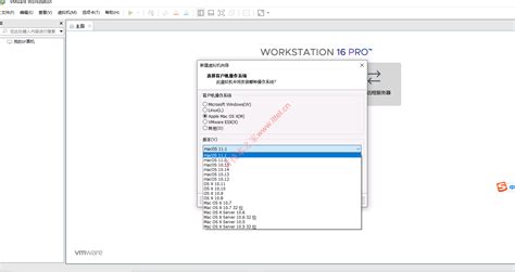 MacOS 解锁补丁MacOS Unlocker for VMware Workstation v4 2 6支持最新Workstation 17