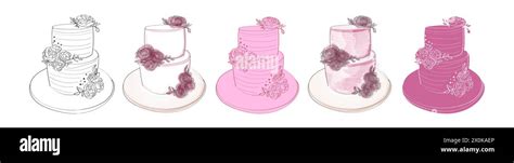 various types of cakes are displayed on a clean white background the