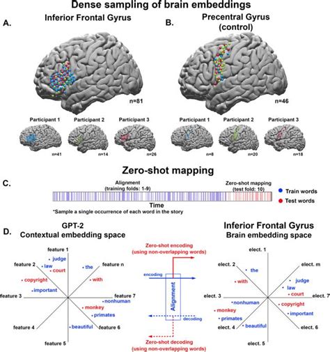 Alignment Of Brain Embeddings And Artificial Contextual Embeddings In Natural Language Points To