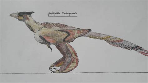 Explore The Best Pedopenna Art Deviantart