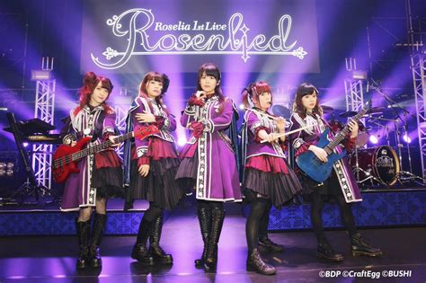 Roselia 萌娘百科 萬物皆可萌的百科全書