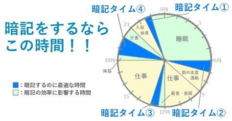 暗記に最適な勉強のスケジュールをご提案！ 科学的根拠あり「効率よく記憶できる時間帯」 Study Hacker（スタディーハッカー）｜社会