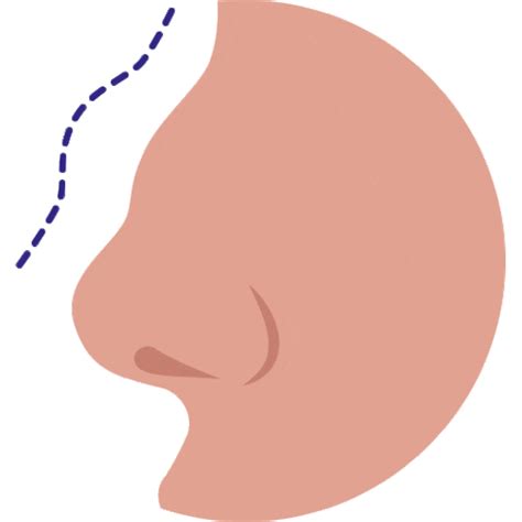 Nose Reshaping Stickers Find And Share On Giphy
