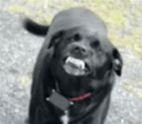 Reaction  Album On Imgur