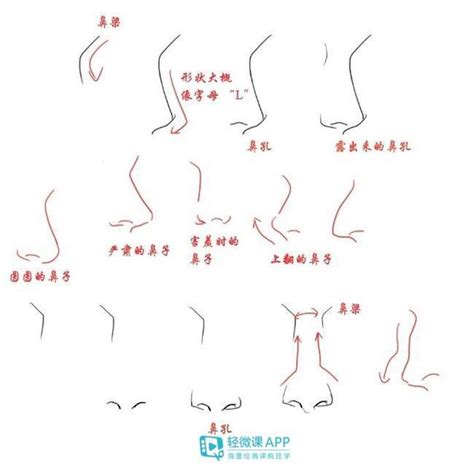 动漫鼻子绘画简笔画第6页大山谷图库