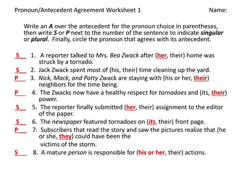 Pronoun Antecedent Agreement Examples Sentences