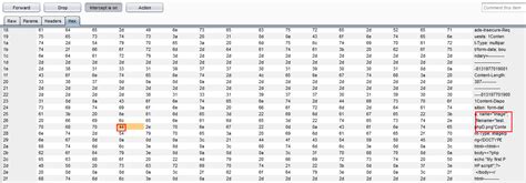 Bypass Validation Upload Follow The White Rabbit