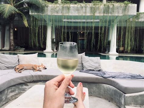 Pin By Heidi Schroeter On Sri Lanka Alcoholic Drinks Rose Wine Drinks