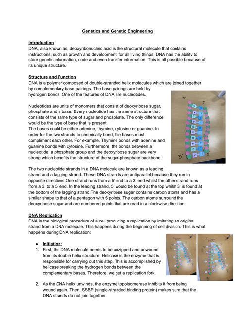 Summary Btec Applied Science Unit 11 Genetics And Genetic Engineering Assignment 1 Unit 11