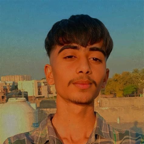 vansh tamoli conding web developer linkedin