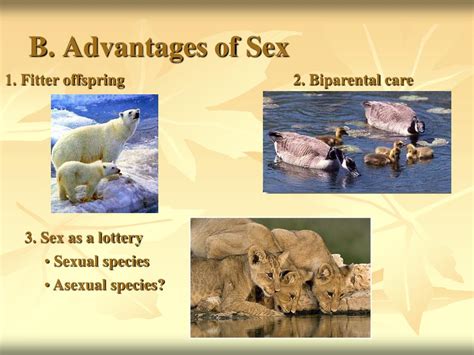 PPT Biology Of Sex PowerPoint Presentation Free Download ID 6899927