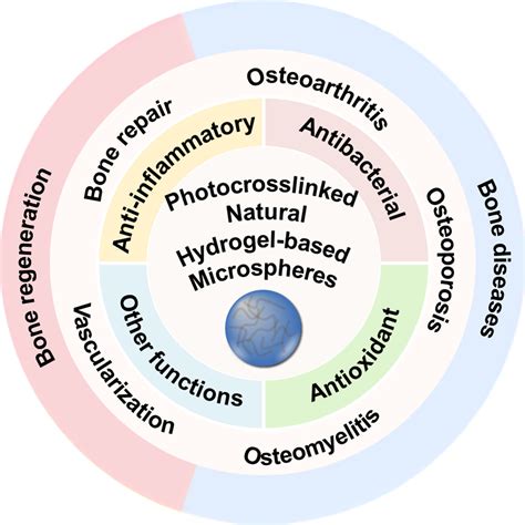 Polymer Engineering And Science Vol 64 No 10