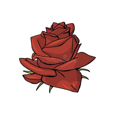 Flor Color De Rosa Dibujada Mano Ilustraci N Del Dise O Floral Element Stock De Ilustraci N