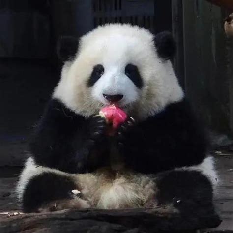 Ieee Tcsvt投稿经历 知乎