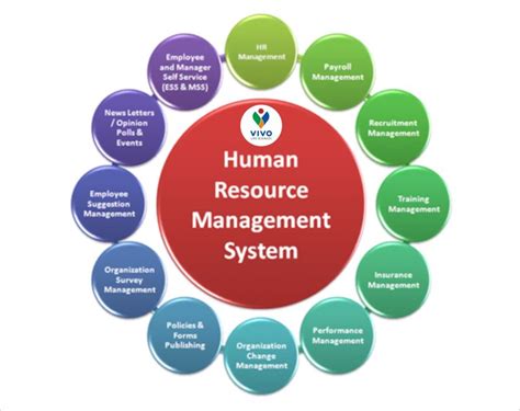 Vivo Life Sciences On Linkedin Human Resource Model Of Vivo