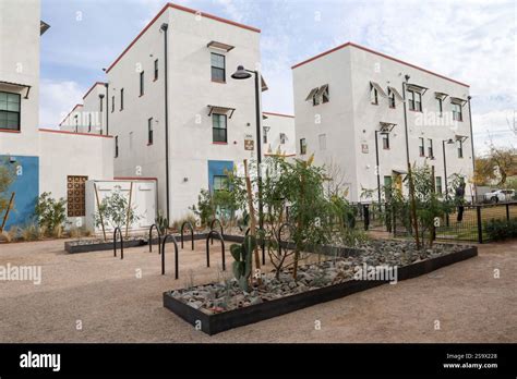Culdesac Tempe Is The First Car Free Neighborhood Of Its Kind Built From Scratch In The Us As