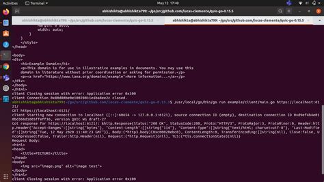 facing problem while sending an image · issue 2540 · quic go quic go · github