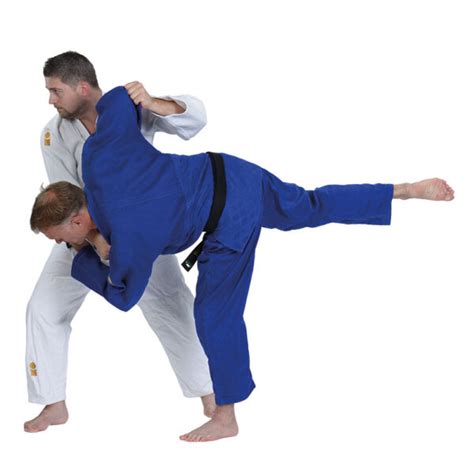 15 Uchi Mata Sukashi 内股すかし Judo