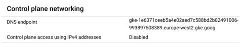 Using Gke Dns Based Endpoints For Secure Cluster Access Cyberark