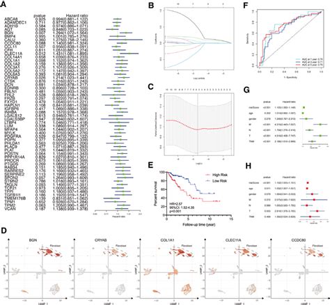 Constructing A Prognostic Signature For Crc Based On Hallmark Genes Of Download Scientific