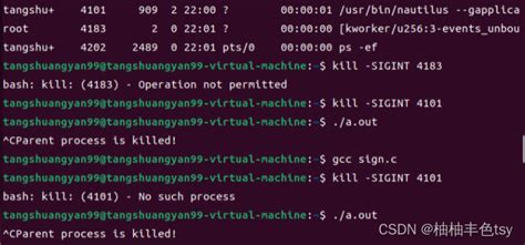 操作系统实验——进程通信（信号机制）实验实验五 软中断通信 实验目的 1、了解什么是信号 2、熟悉linux系统中进程之间软中 Csdn博客