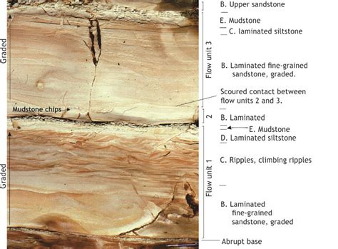 13 3 Some Common Sedimentary Structures Geosciences Libretexts