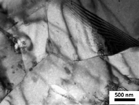 Microstructure Of The Ufg Stainless Steel Subjected To 1 H Annealing At