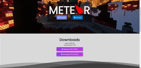 Bug Issue MeteorDevelopment Meteor Client GitHub