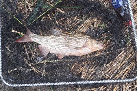 Fazekas László Körösvidéki Horgász Egyesületek Szövetsége