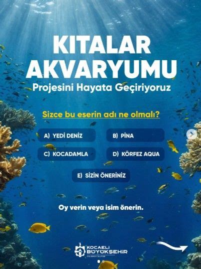 Türkiyede Bir Ilk Büyükşehir Halkın Görüşünü Almak Için Anket Açtı İzmit Millet Bahçesindeki