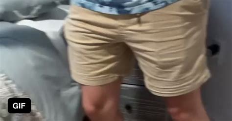 Catnip Not Even Once 9GAG