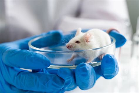 艾科生物 青岛艾科生物科技有限公司