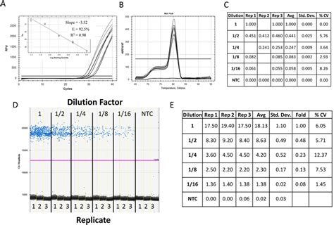 Assessment Of Primer Efficiency Linear Dynamic Range And Precision Of Download Scientific