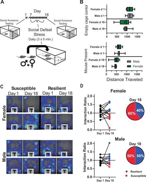 Sleep Patterns Predicting Stress Resilience Are Dependent On Sex