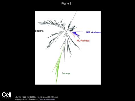 A Role For Trna Modifications In Genome Structure And Codon Usage Ppt Download