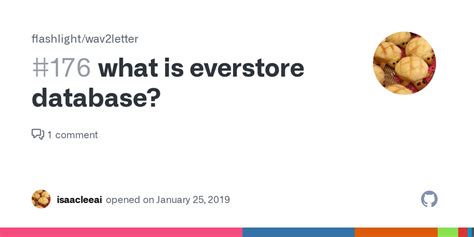 What Is Everstore Database · Issue 176 · Flashlightwav2letter · Github