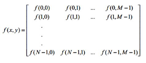 Matrix Digital Image Of N X M 2 Download Scientific Diagram