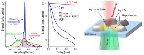 Publication Silver Cluster Fluorescence In A Plasmonic Cavity Atom Optics And Nanophotonics