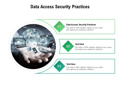 Data Access Security Practices Ppt Powerpoint Presentation Infographic