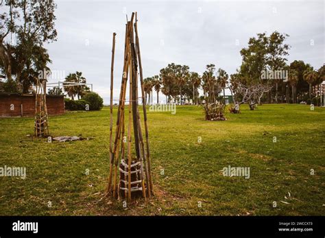 Garden Wooden Structure For Tree Support Garden Obelisk Supporting A Young Tree In A Tropical