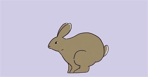 Chloe Gardiner Personal Work Bunny Animation