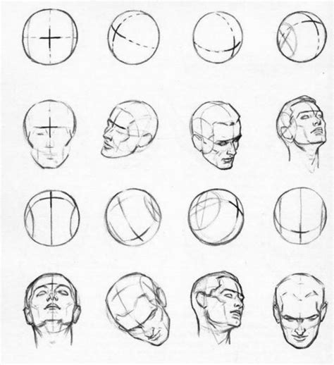How To Draw A Human Head Step By Step