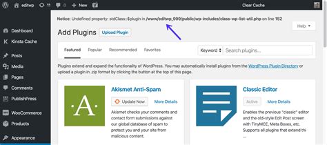 New WP DEBUG Tool Search And Replace And MyKinsta Updates