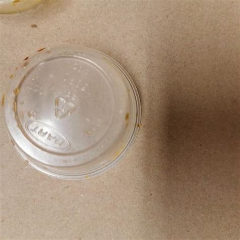 Ksa 3cls Object Detection Dataset And Pre Trained Model By Graduation Project Dataset